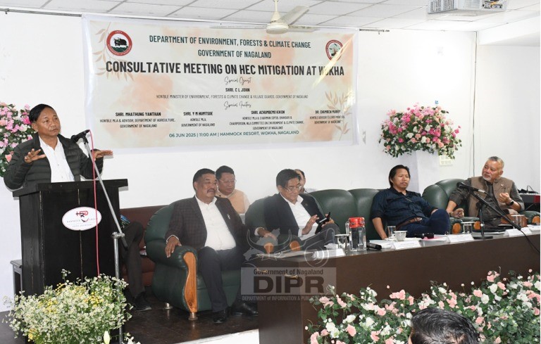 CONSULTATIVE MEETING ON HUMAN-ELEPHANT CONFLICT MITIGATION HELD IN WOKHA | DIPR Nagaland ...